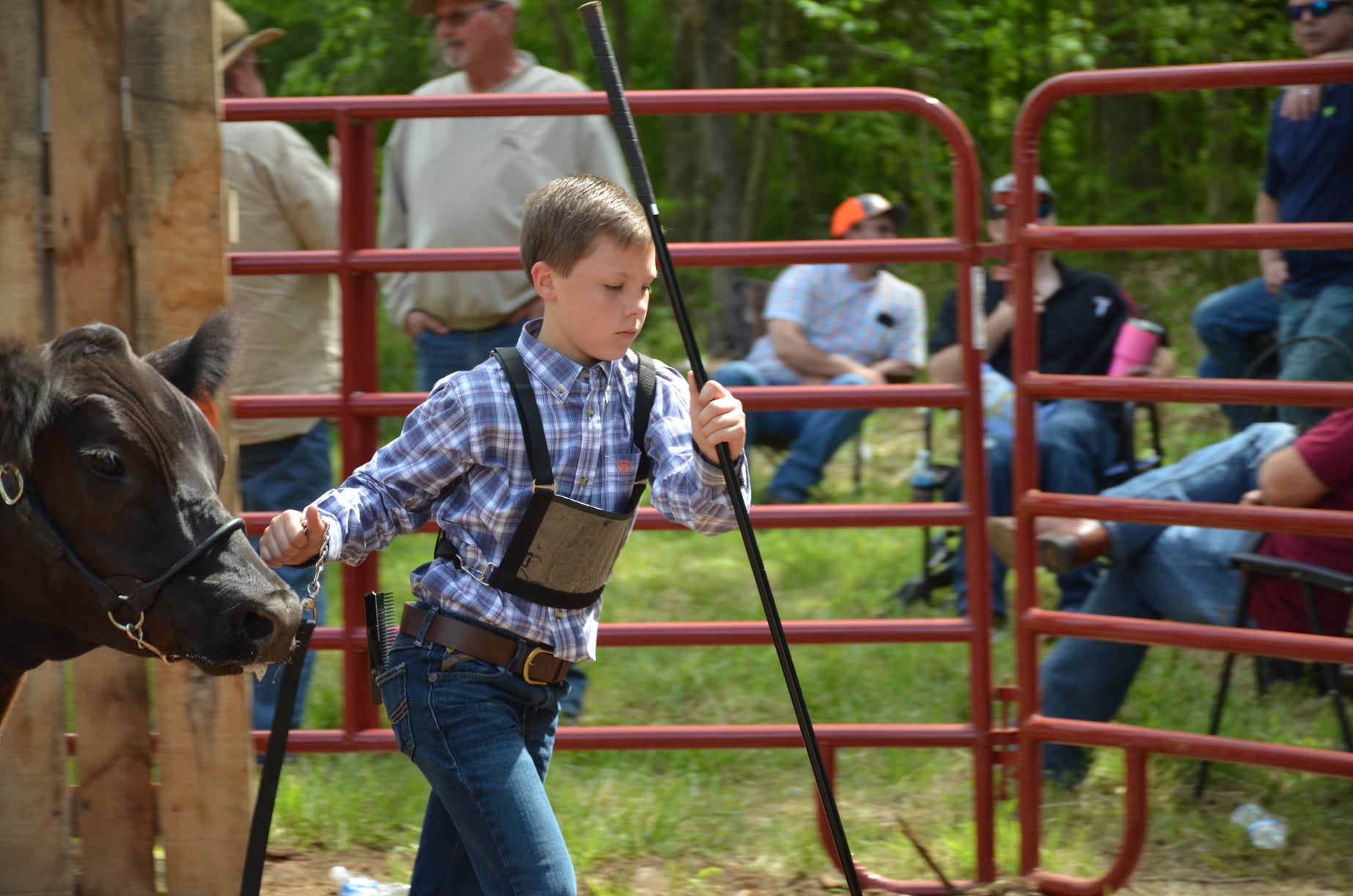 4-H Photos | Houston County